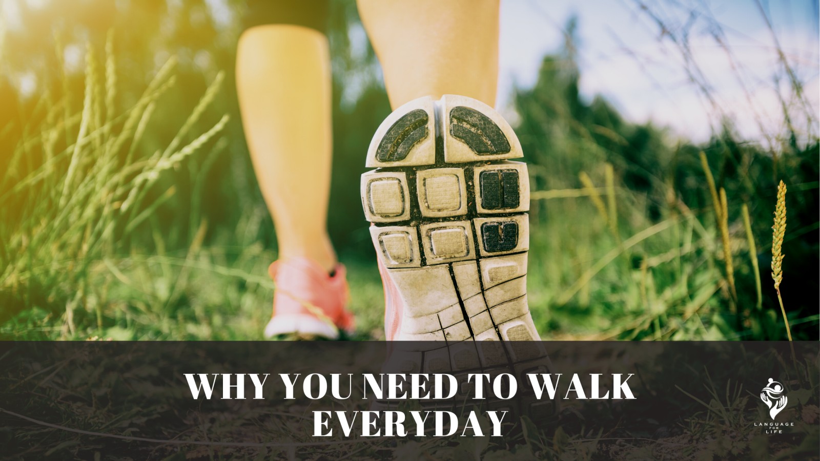 Walk everyday, Why you need it ? | Language for Life